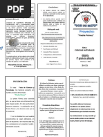 FENCyT TRIPTICO | PDF | Residuos | Contaminación