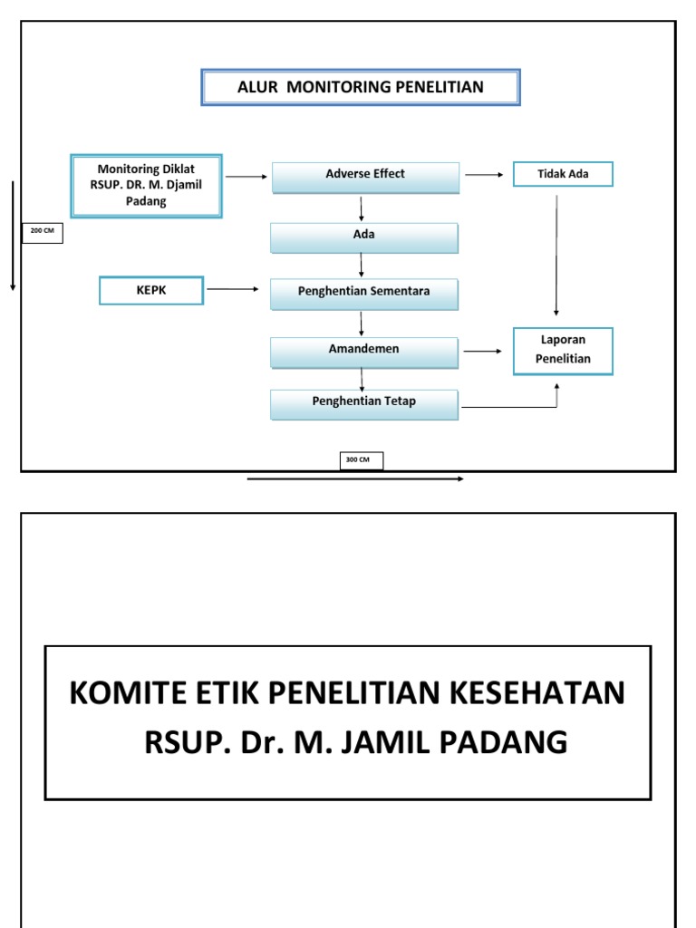 Alur Monitoring Penelitan | PDF