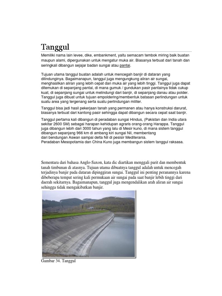 Fungsi dan Sejarah Tanggul Sungai | PDF | Ilmu Sosial