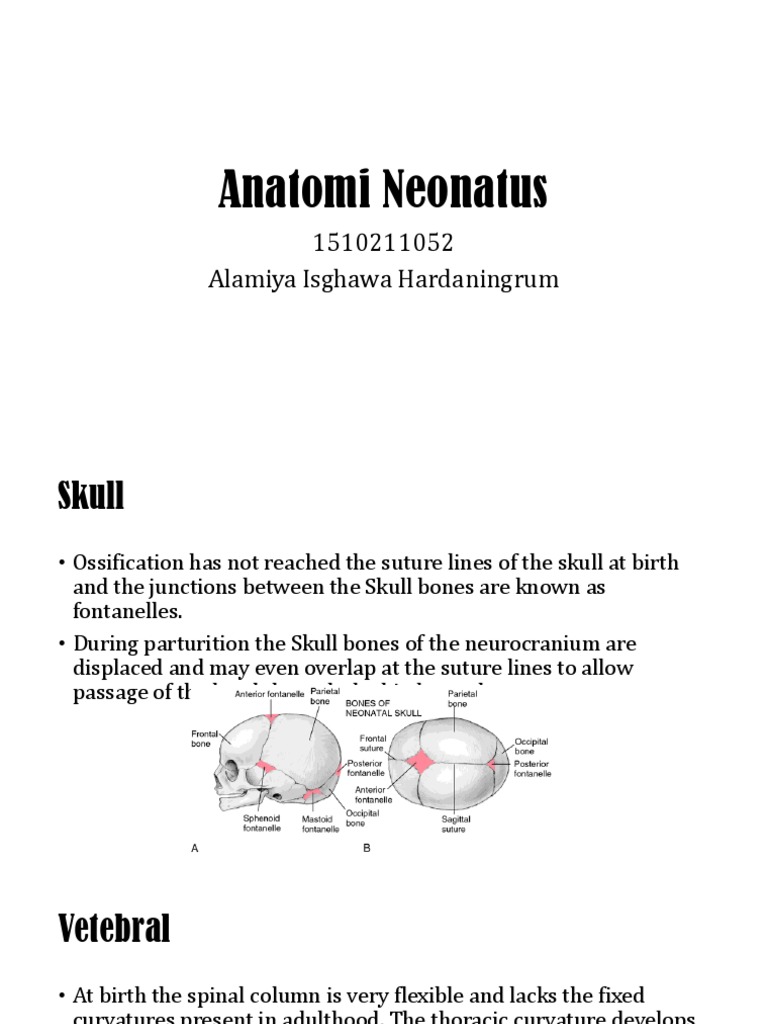 Neonatus Anatomi | PDF
