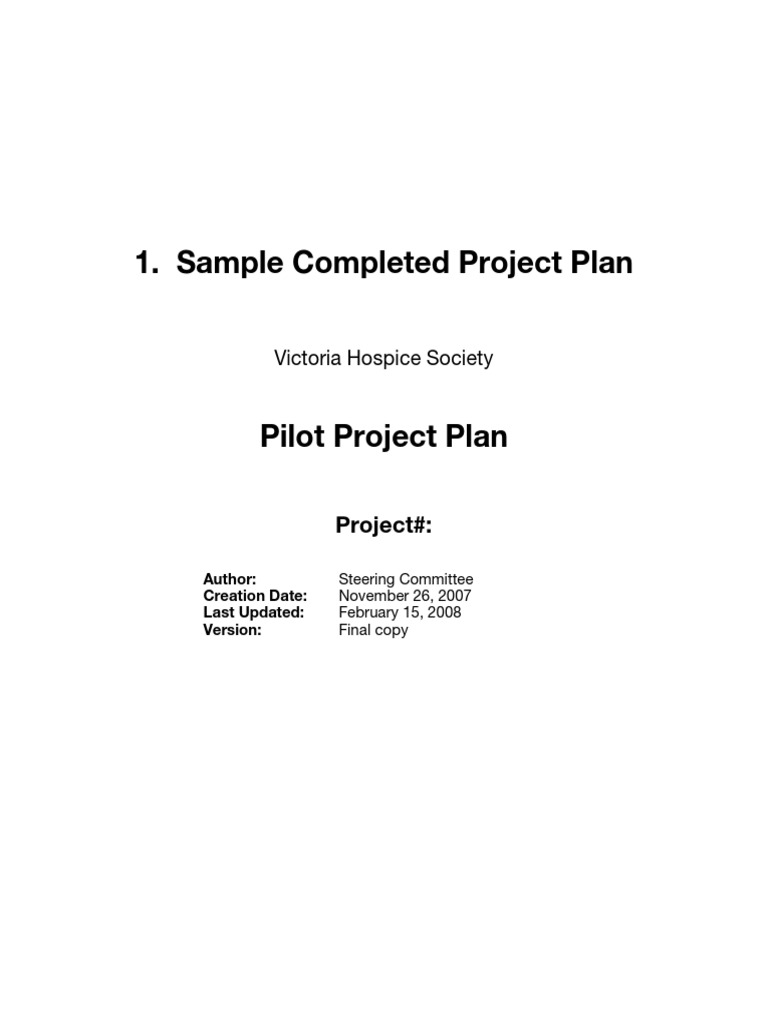 Sample Completed Project Plan | PDF | Palliative Care | End Of Life Care