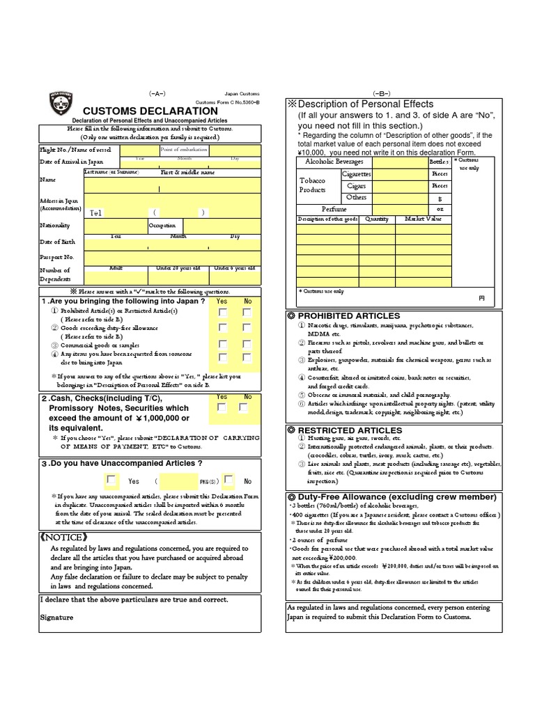 English Import Declarion Japan | PDF | Customs | Government