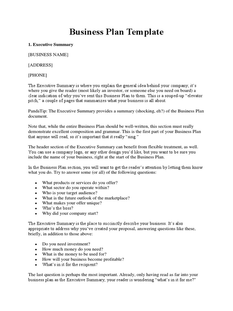 Business Plan Template 1 | PDF | Spreadsheet | Business Plan