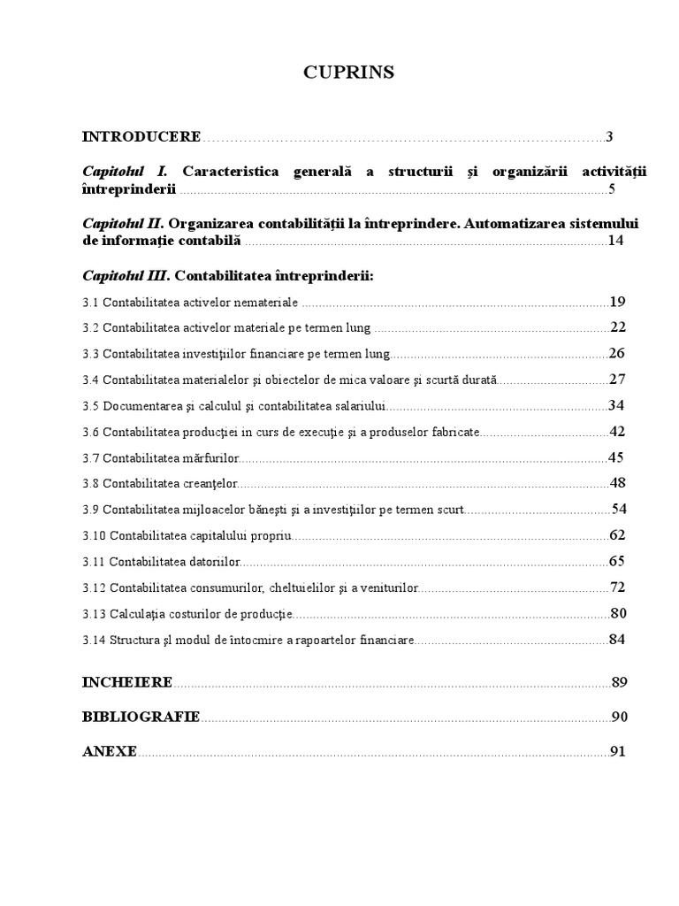 Raport de Practica Anual | PDF