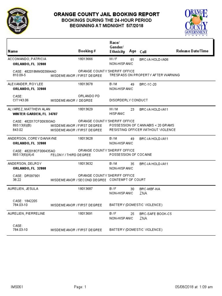 Orange County Jail Booking Report: Bookings During The 24-Hour Period ...