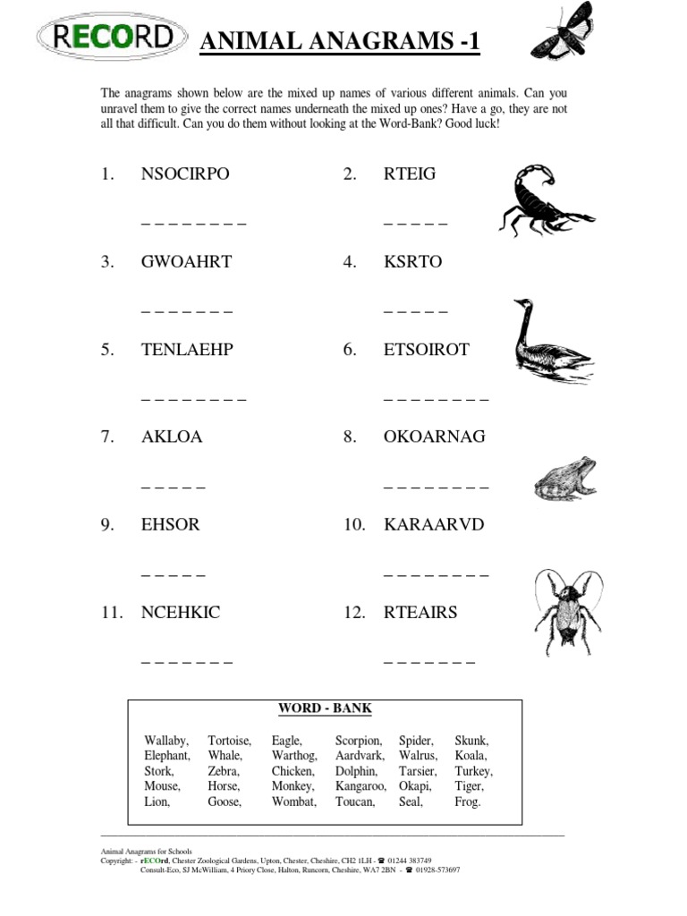 Animal Anagrams - 1: Word - Bank | Download Free PDF | Organisms | Nature
