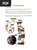 Dinámica de Los Ecosistemas | PDF | Red alimentaria | Ecosistema