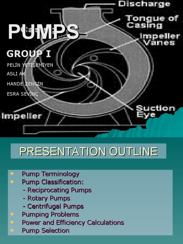 C F Pump-2 | PDF | Pump | Chemical Equipment