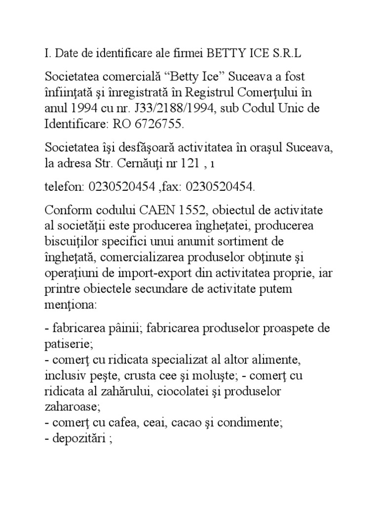 Betty Ice SRL Proiect MODEL | PDF