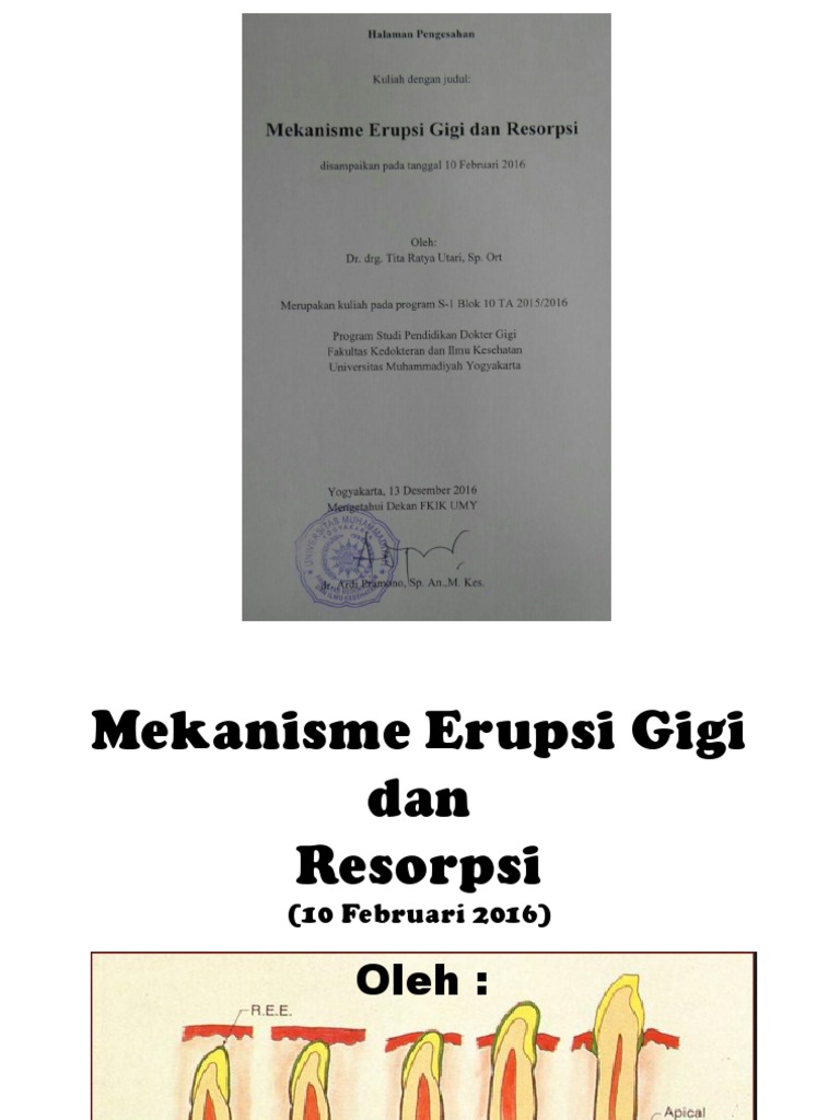 Erupsi Gigi Umy | PDF | Kajian Bahasa Asing