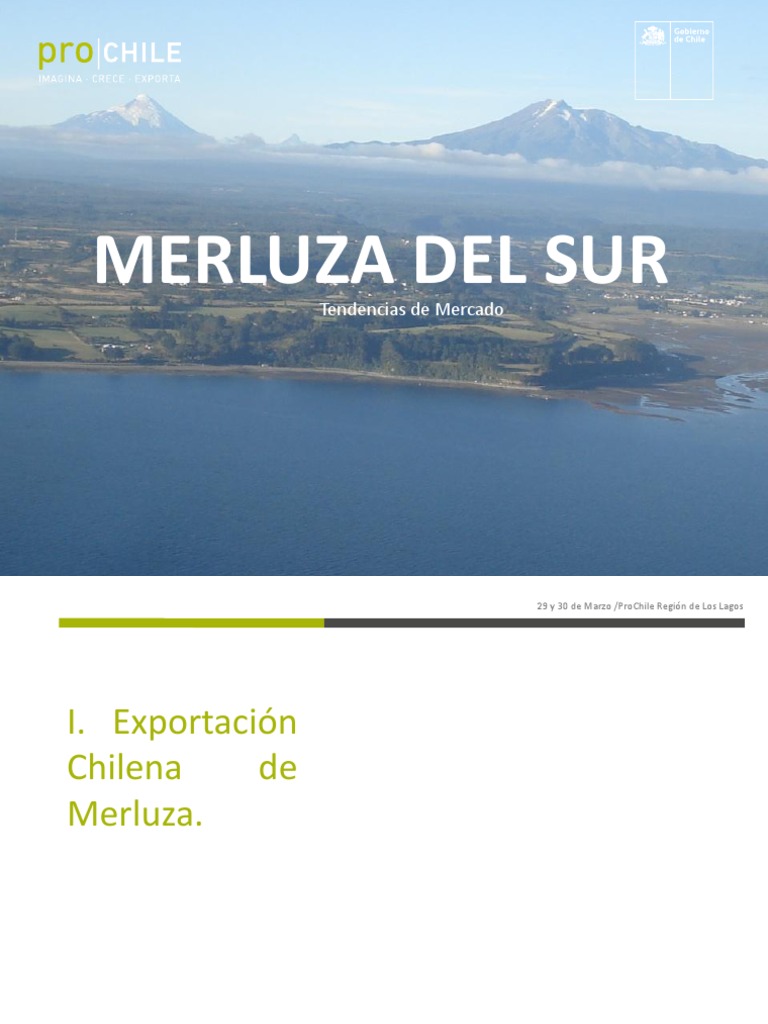 3 Merluza Del Sur Tendencias de Mercado PROCHILE Roxana Monsalve | PDF ...
