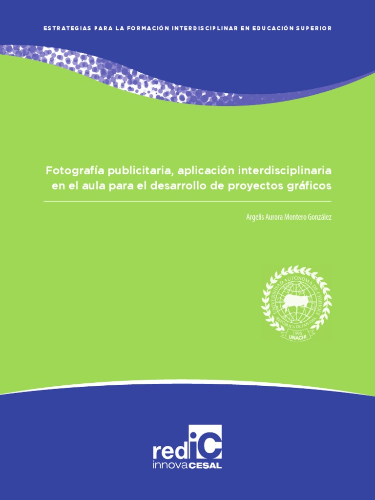 RedIC AAD Interdisc 02 2013 | PDF | Evaluation | Advertising