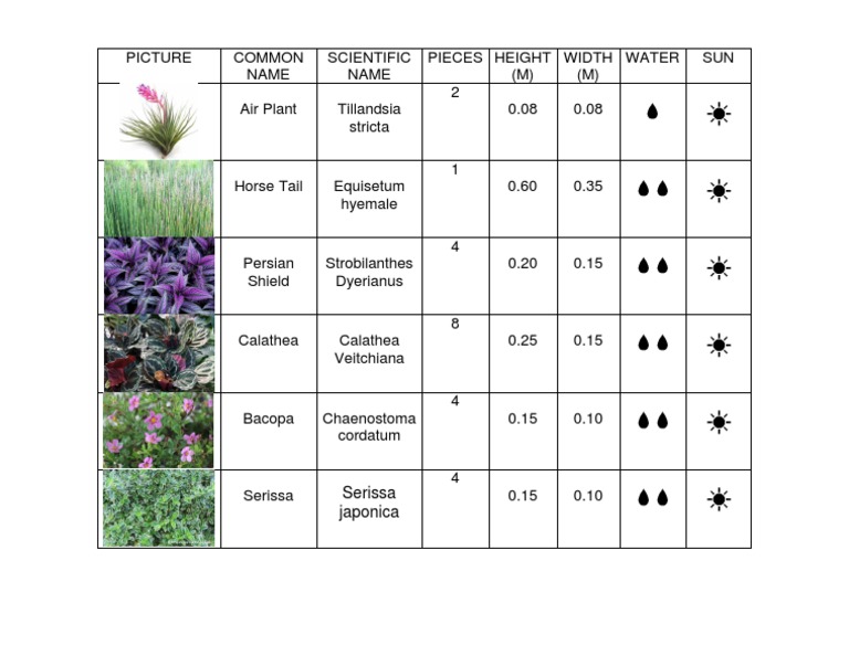 Plant Care Guide: Common Species Info | PDF