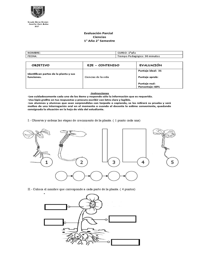 Prueba Partes de La Planta | PDF | Plantas | Science