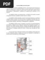 Quemaduras Faciales y Signos de Flogosis | PDF | Quemar | Inflamación