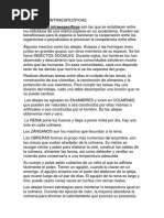 Eusocialidad en Insectos Sociales | PDF | Eusocialidad | Hormiga