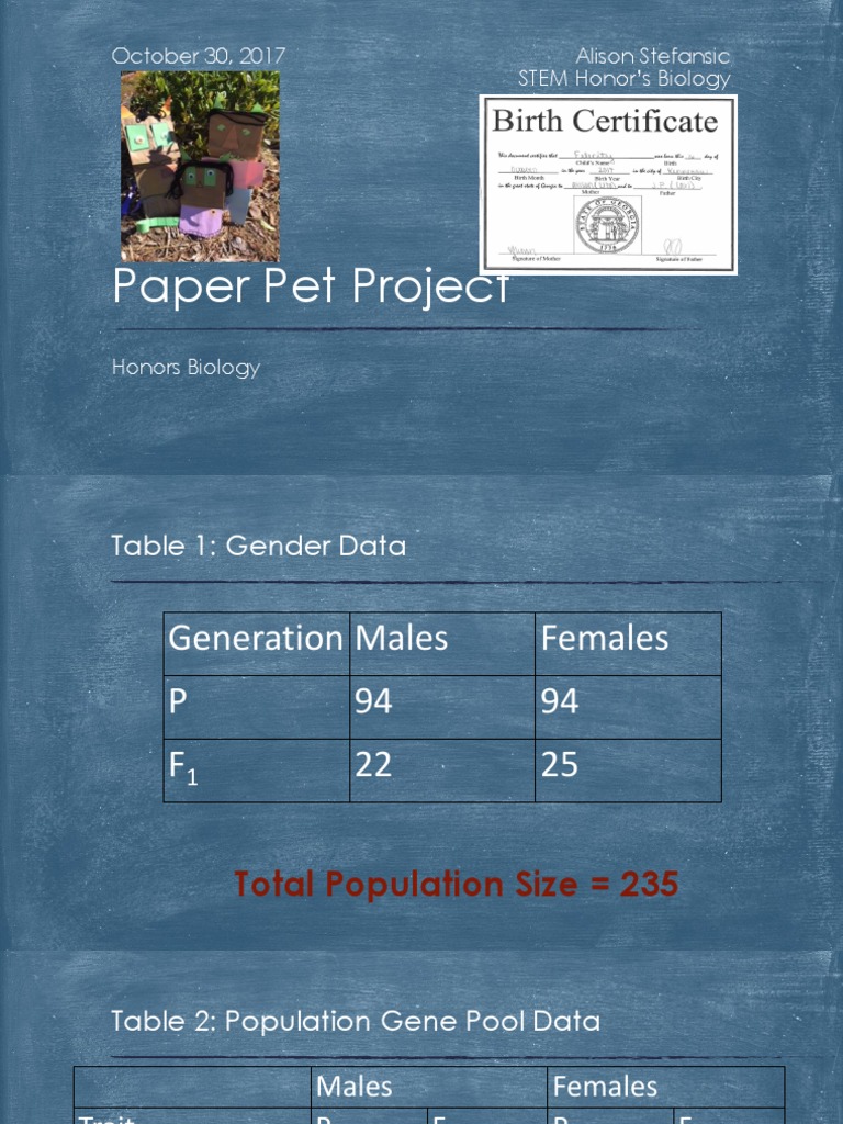 Paper Pet Genetics Project | PDF | Natural Selection | Genetics