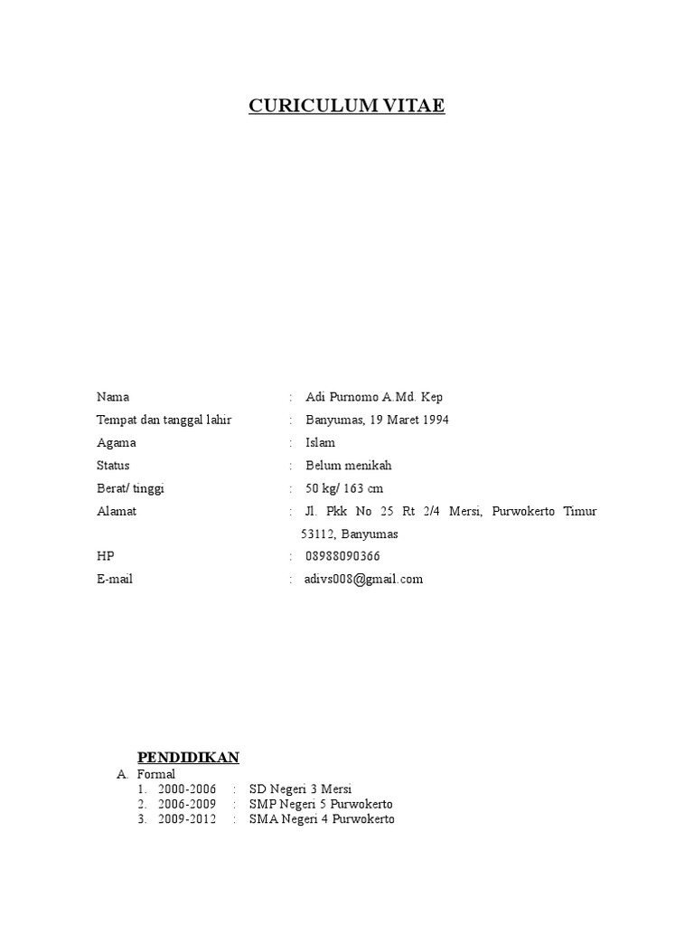 CV Adi Purnomo | PDF
