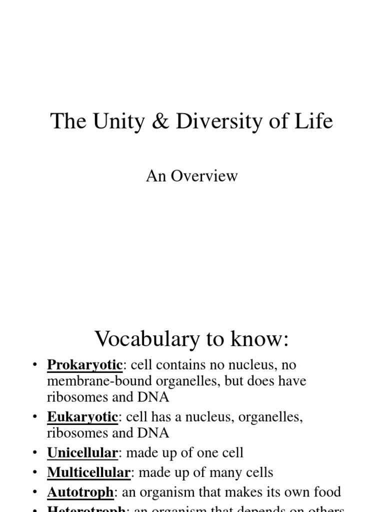 A32 The Unity and Diversity of Life | PDF | Prokaryote | Cell (Biology)
