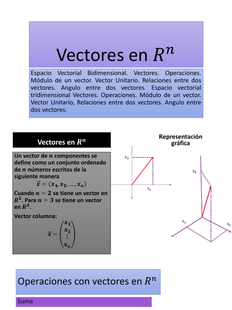 Vectores | PDF | Espacio vectorial | Vector Euclidiano