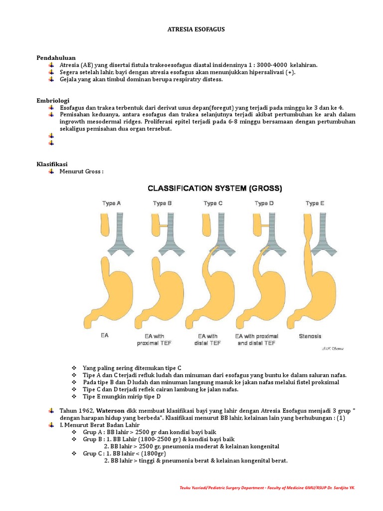 Atresia Esofagus pada Bayi | PDF | Ilmu Sosial | Kesehatan Holistik