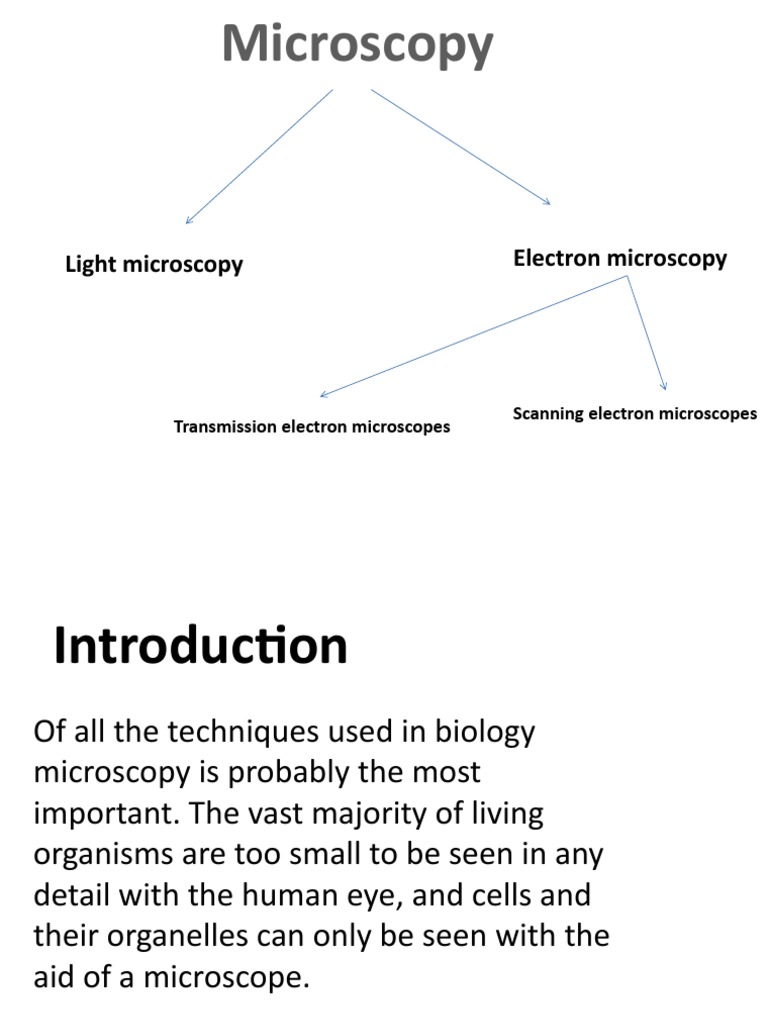 Microscopy: Light Microscopy Electron Micros | Download Free PDF | Microscope | Angular Resolution
