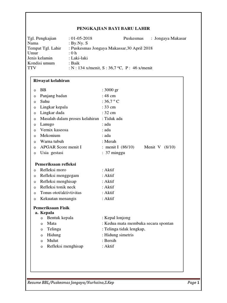 Aina Resume BBL | PDF