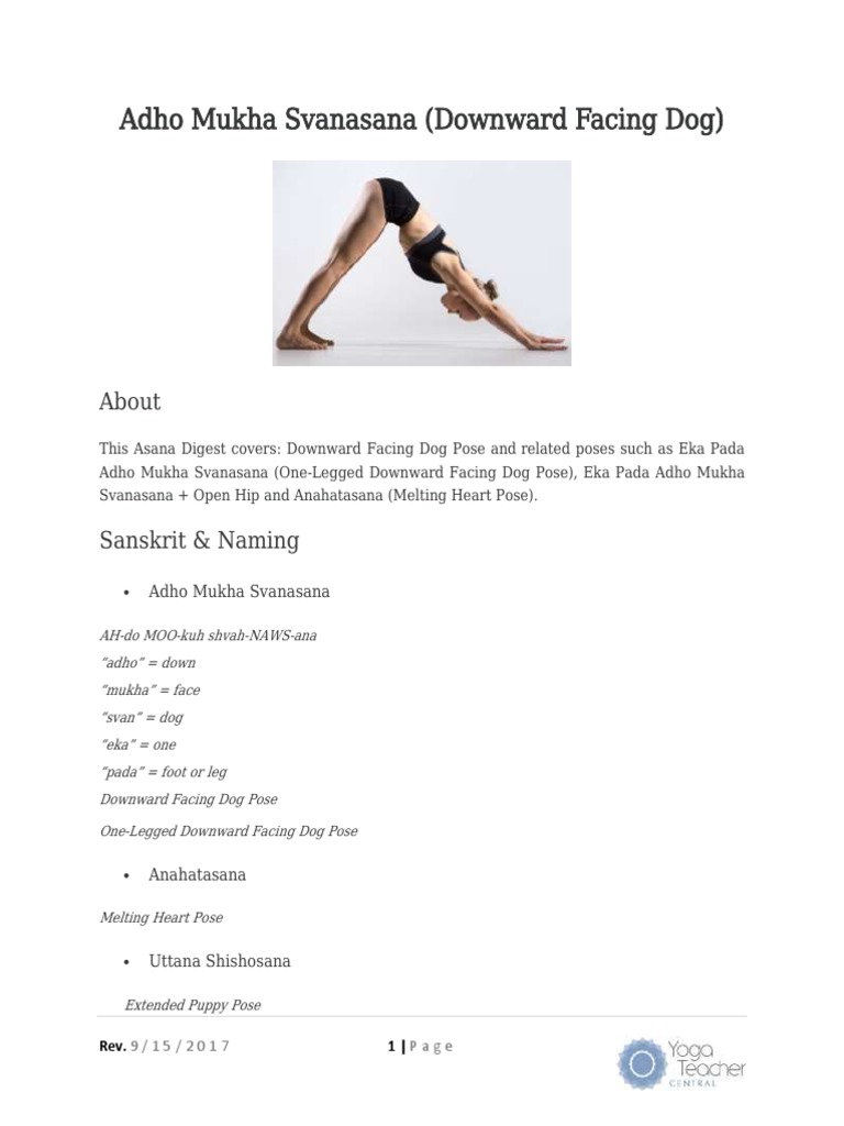 Adho Mukha Svanasana | PDF | Arm | Foot