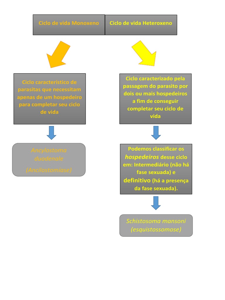 Ciclos de Vida: Monoxeno e Heteroxeno | PDF