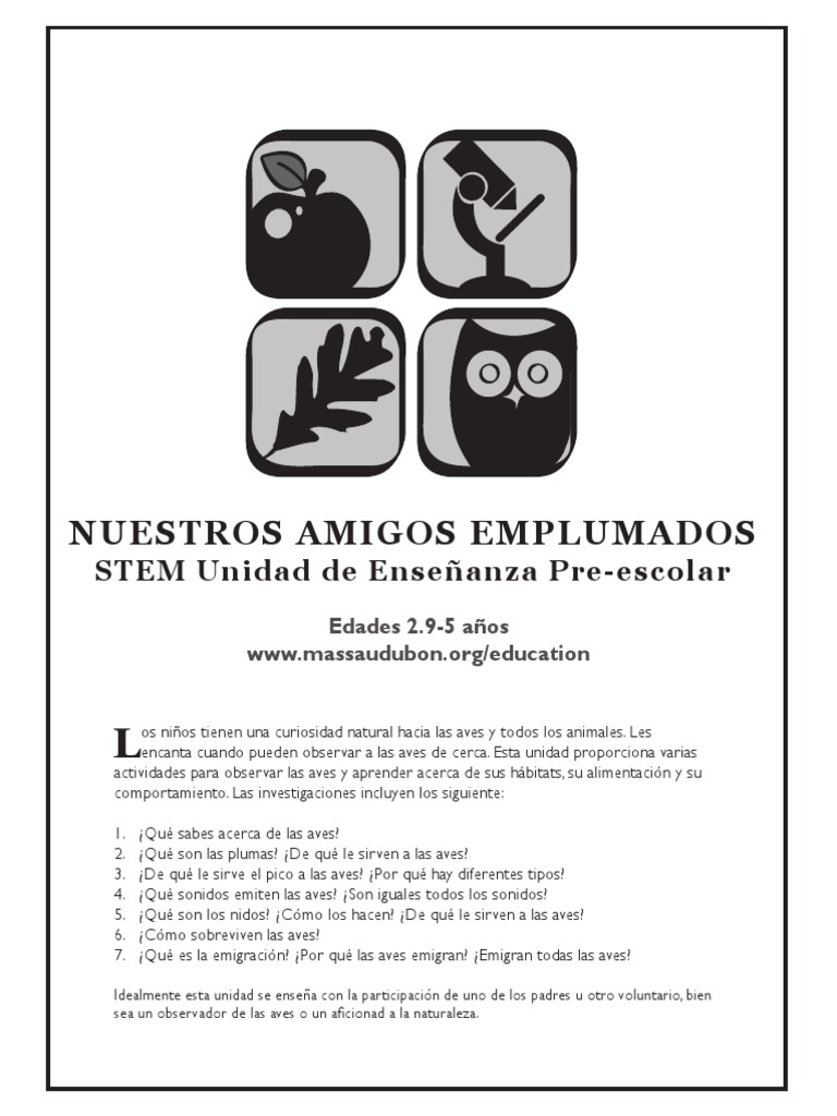 Observación de Aves para Niños | PDF | Birds | Feather