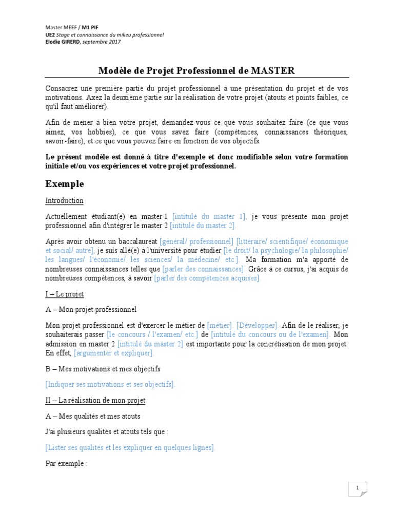 Modèle Projet Professionnel | PDF | Connaissances | Cognition