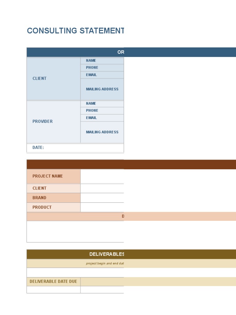 Consulting Statement of Work: Organization | PDF