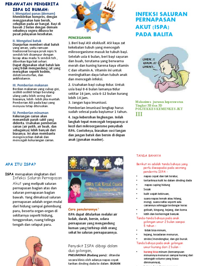 Leaflet Ispa | PDF