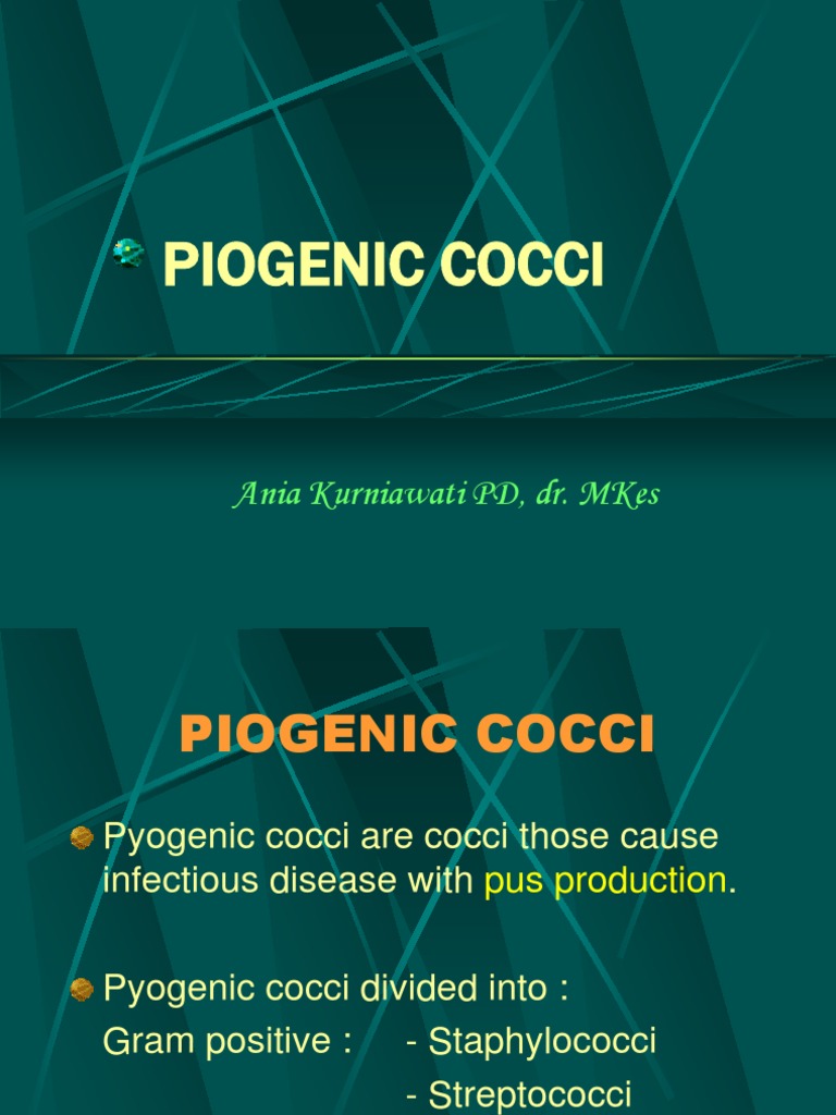 Piogenic Cocci: Ania Kurniawati PD, Dr. Mkes | PDF | Staphylococcus ...