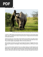 List of Proverbs Translated From Xitsonga To English: A Free Dictionary ...