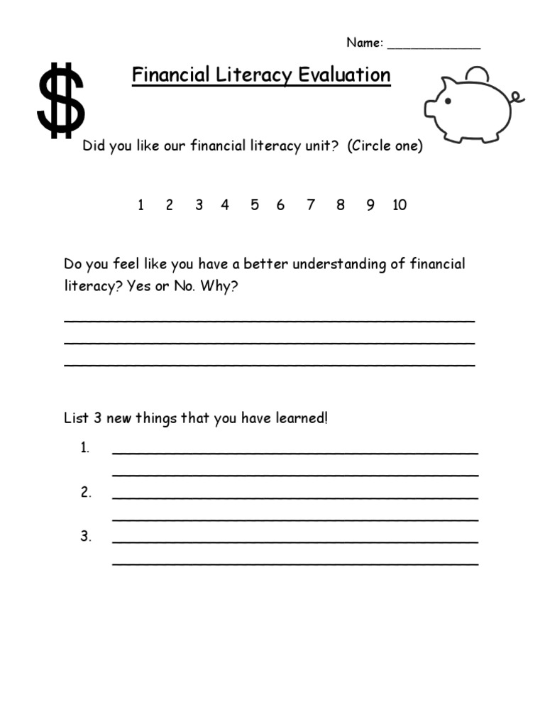 Financial Lit Evaluation | PDF