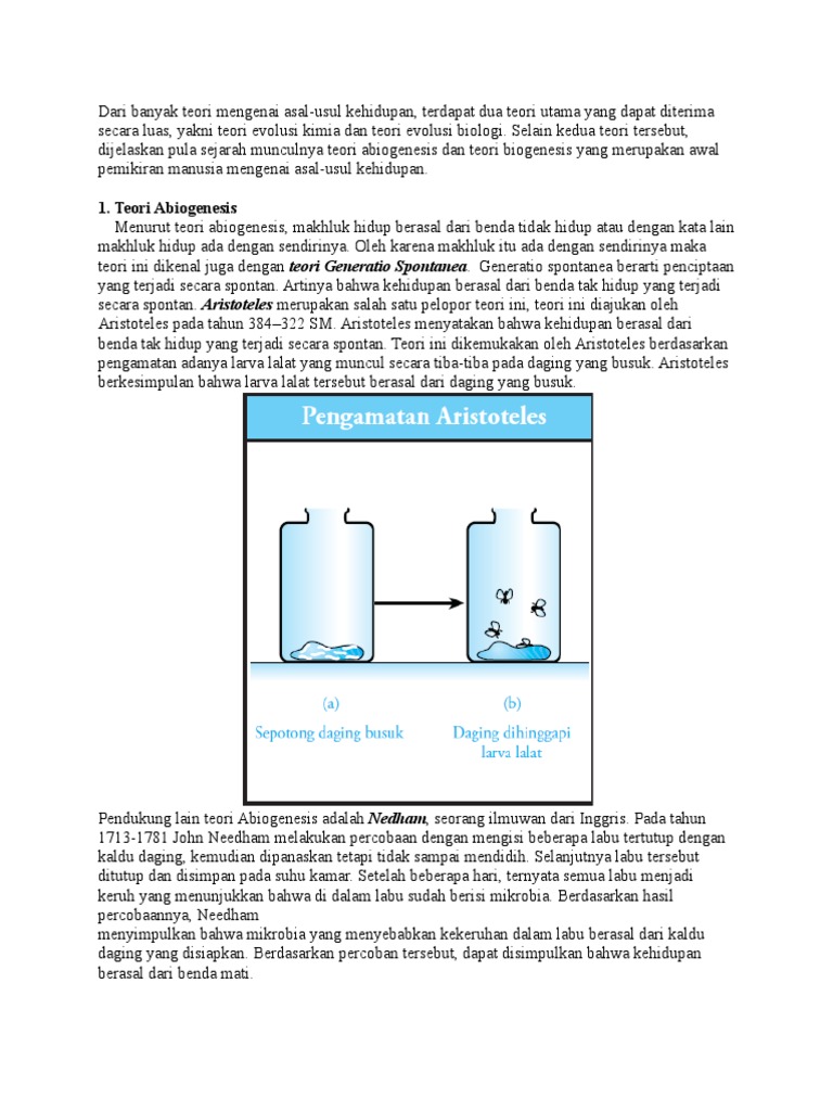 Teori Abiogenesis | PDF