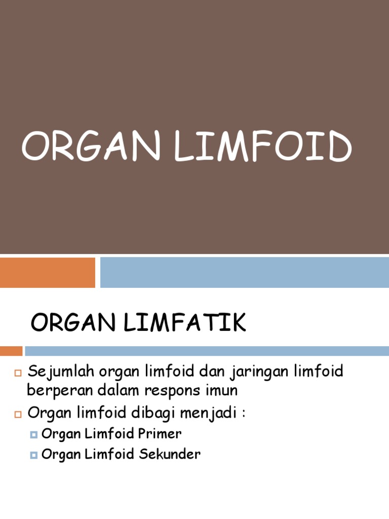 Kuliah 7 Organ Limfoid dan Sistem Limfatik | PDF