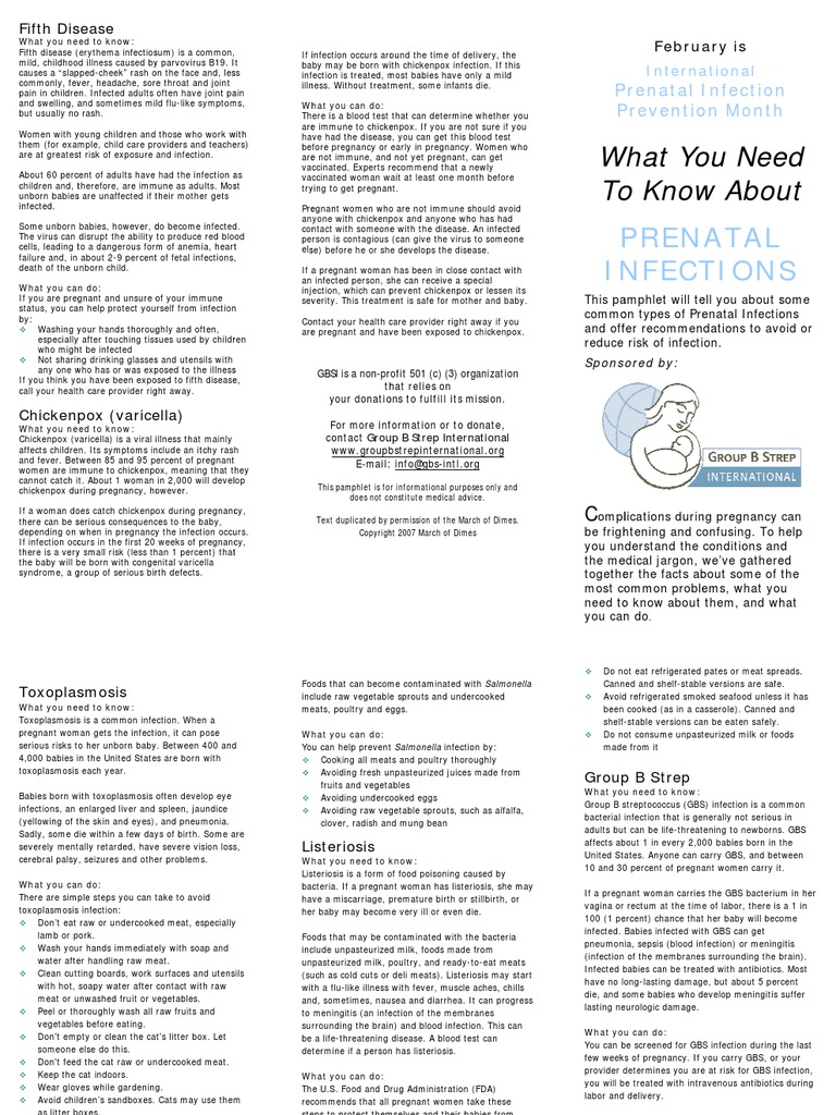 Prenatal Infection Prevention Brochure | PDF | Pregnancy | Infection