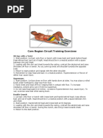 Perfect Pushup Workouts PDF | PDF