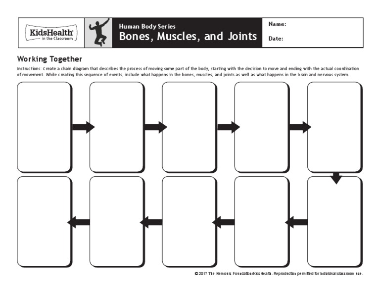 Bones, Muscles, and Joints: Working Together | PDF | Science & Mathematics