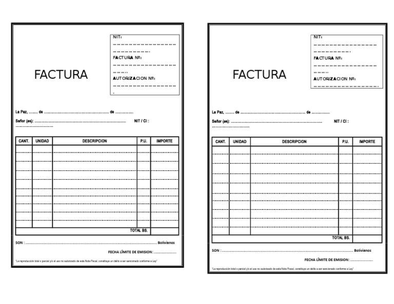 Factura Formato en Blanco Sencillo