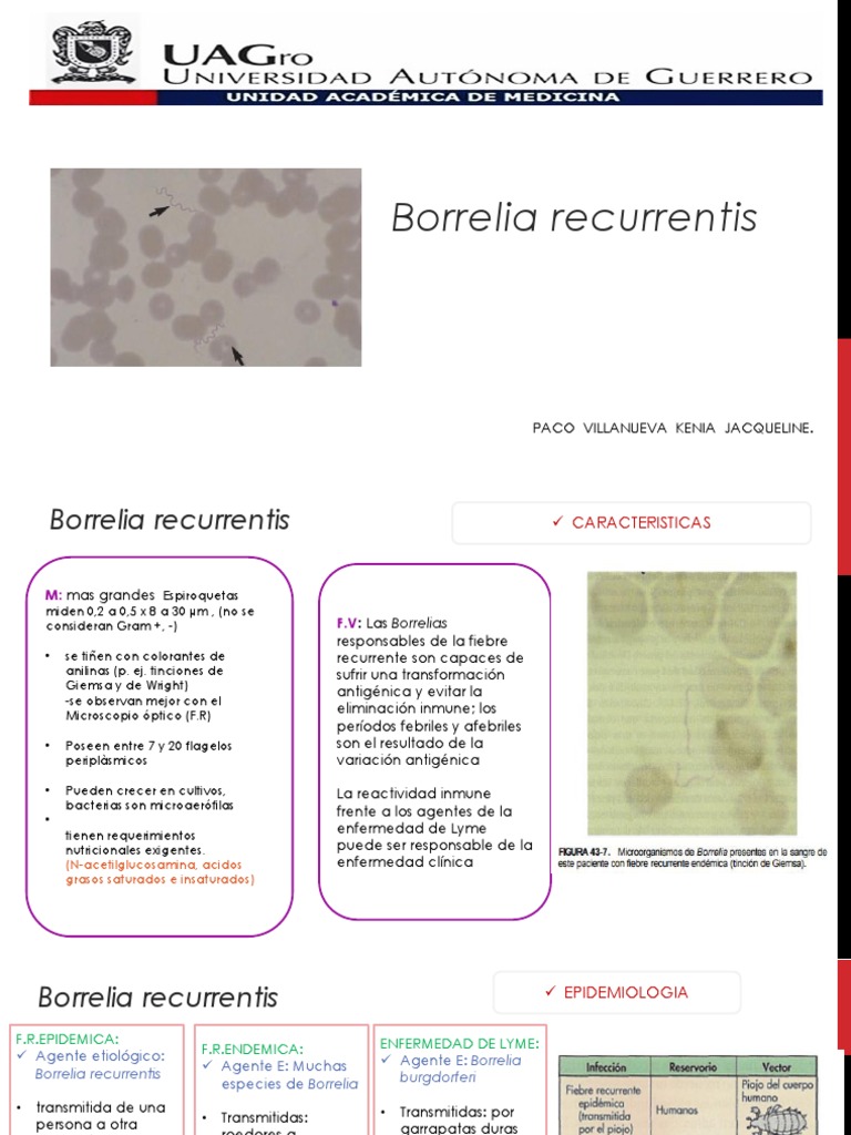 Borrelia Recurrentis | PDF | Lyme Disease | Microbiology