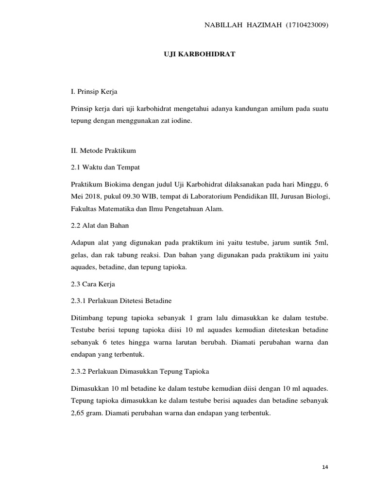 Uji Karbohidrat | PDF