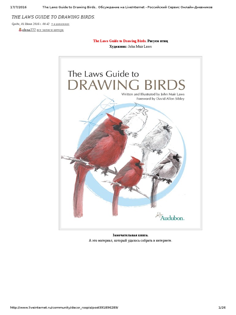 The Laws Guide To Drawing Birds. | PDF | Cyberspace | World Wide Web