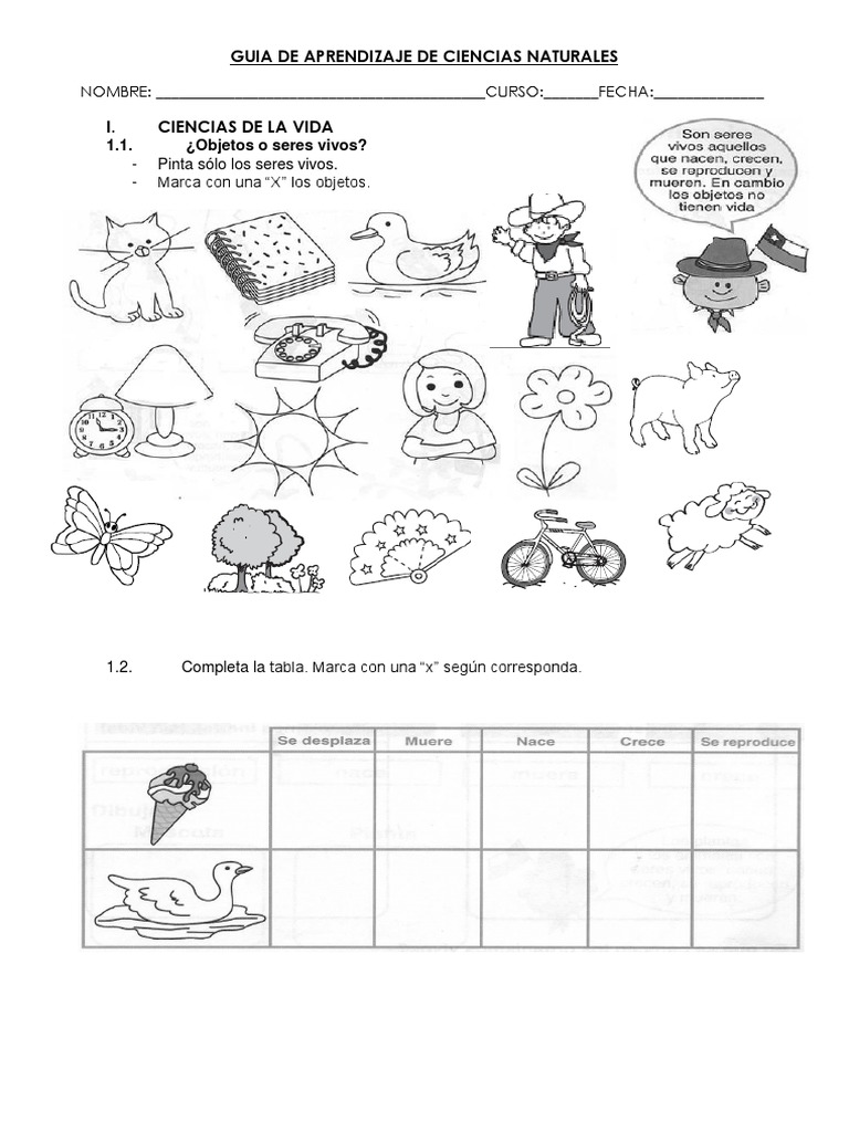 Guia de Aprendizaje Seres Vivos e Inertes | PDF