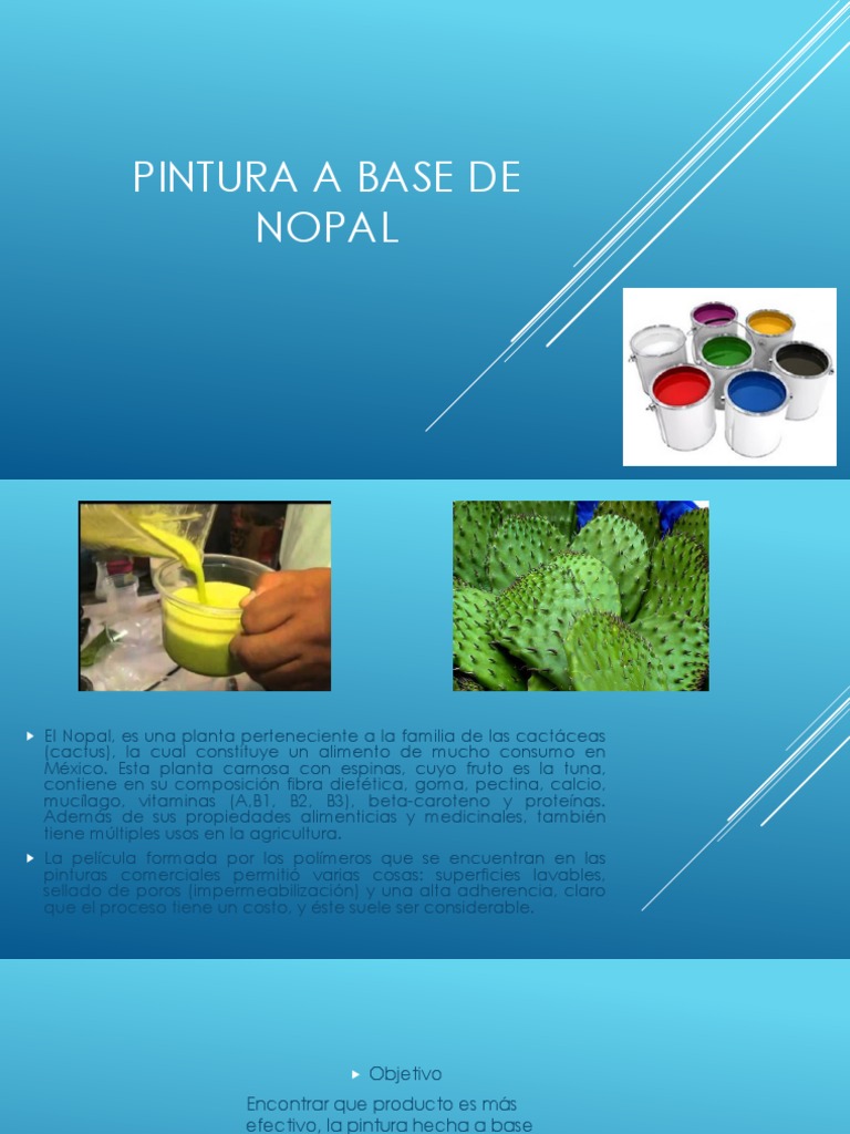 Pintura A Base de Nopal 2 | PDF | Pintar | Pinturas