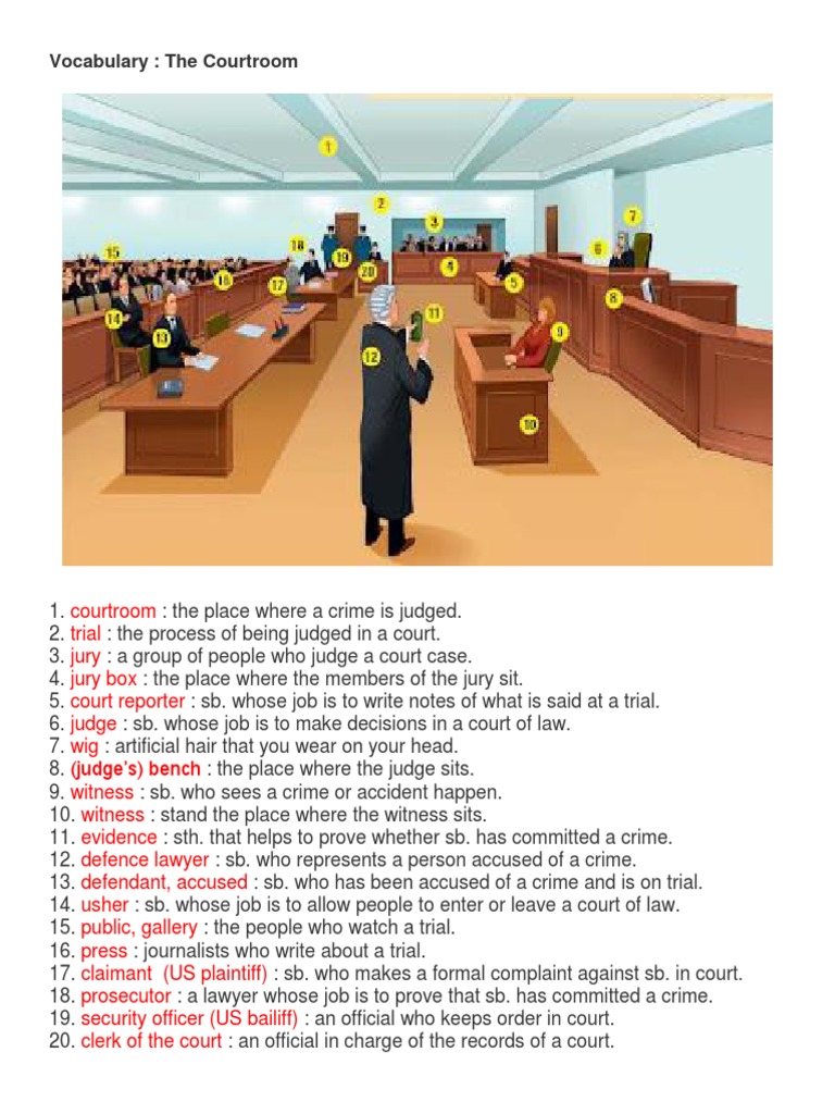 Essential Courtroom Vocabulary Guide | PDF | Law