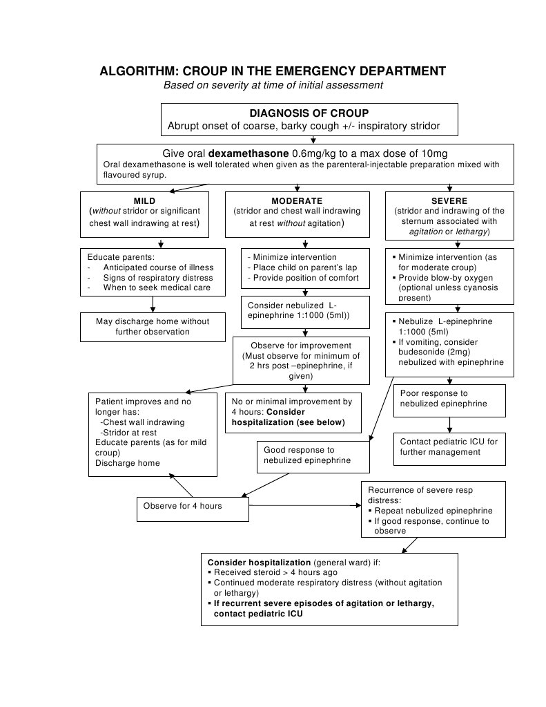 Croup Algorithm Sep 2007 | PDF | Health Sciences | Medicine