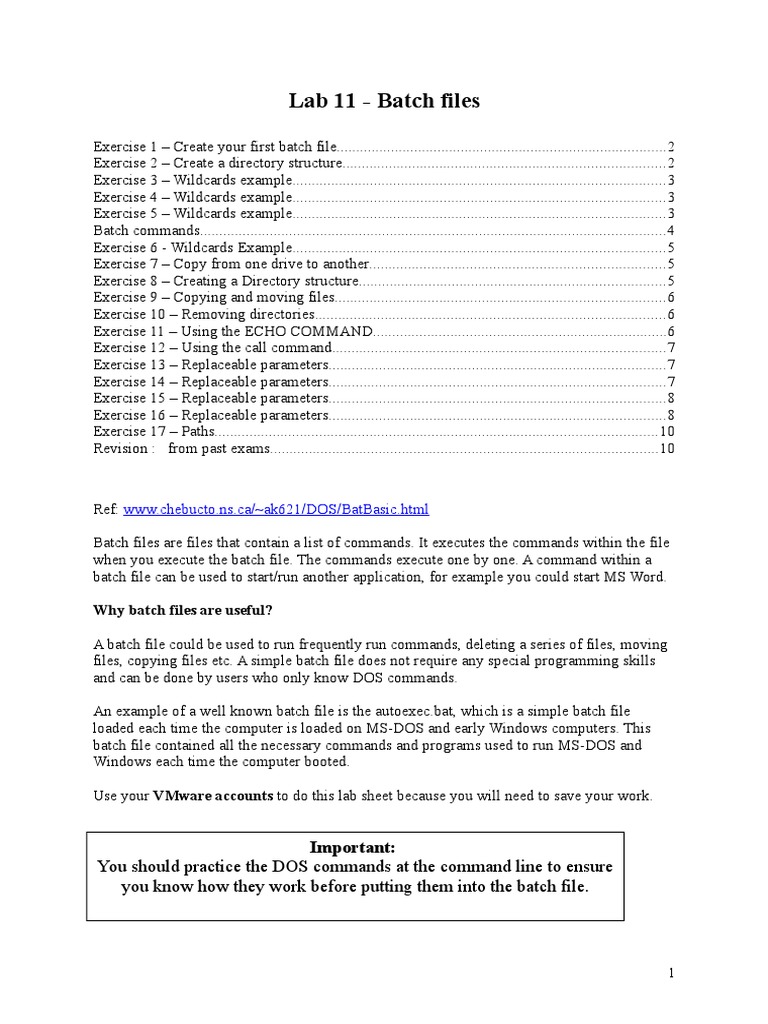 Lab 5 - Batch Files | PDF | Computer File | Command Line Interface